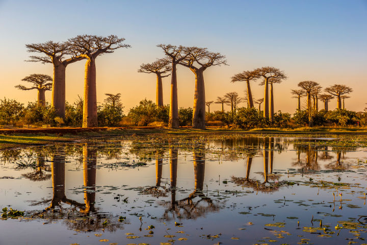 Madagaskar Urlaub: Günstige Angebote für die Trauminsel Madagaskar Urlaub: Günstige Angebote für die Trauminsel